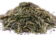 Groene thee Japan Sencha Fuji | Viva Sara tea